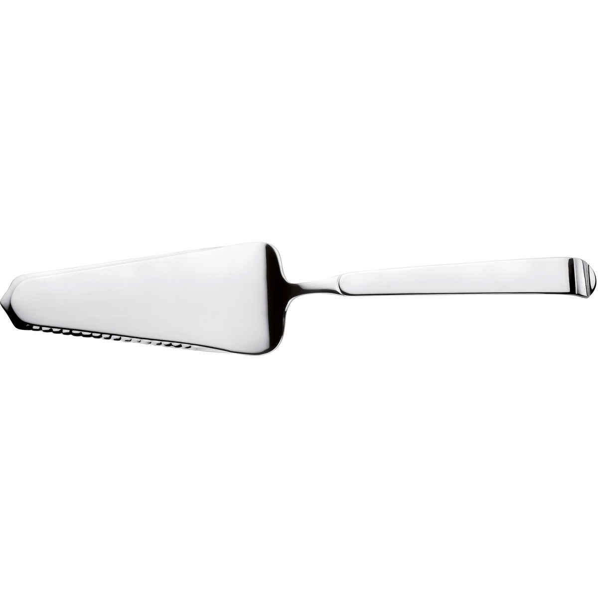 Astra Cake Server (30cm) | Pintinox - Cookware / Cutlery | Day and Age ...